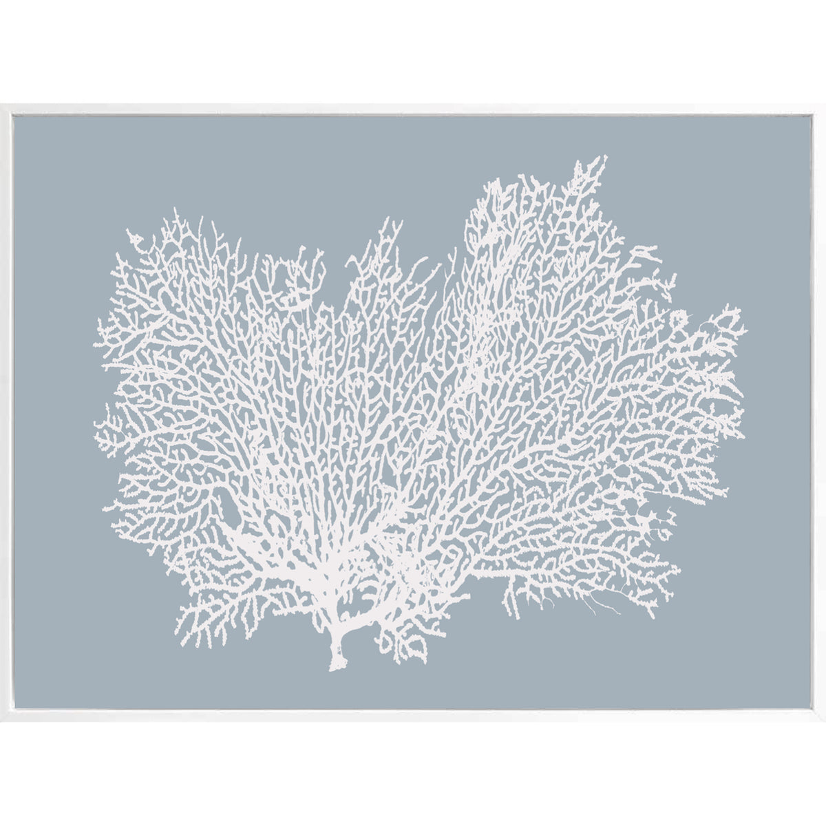 Light Blue Coral | Canvas Art | Beach Lane Art